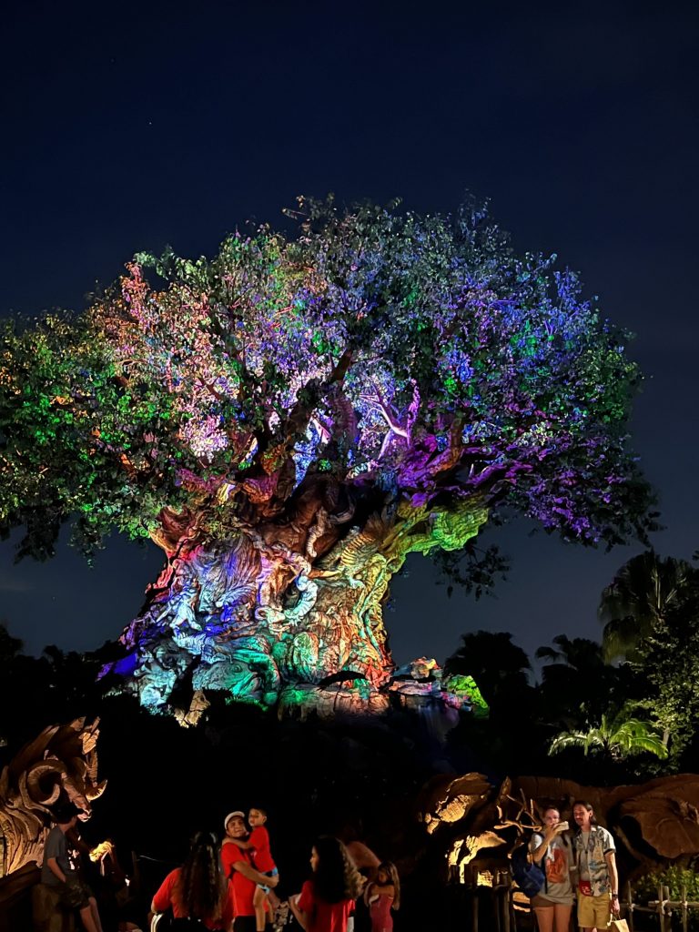 3 Ways to Manage Fear of Fireworks at Disney World